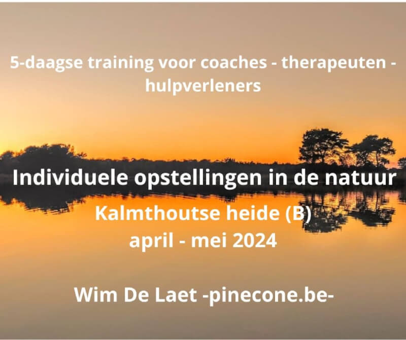 Training systemisch werk in de natuur (individuele familieopstellingen ...