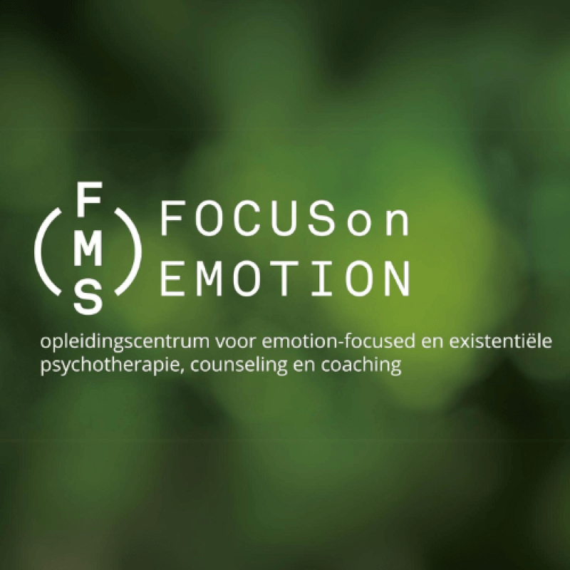 Emotion-Focused Therapy (EFT) - level 1 | Focus on emotion vzw ...