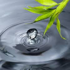 Anja van Gompel - Mental coaching & Hypnotherapie/Hypnose ...